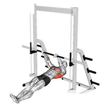 Inverted-Row – فیتِ فیت