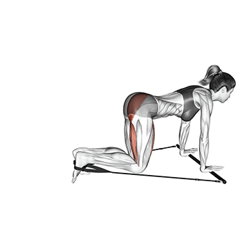 Kneeling-Single-Leg-Kick – فیتِ فیت