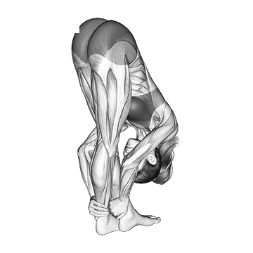 Standing-Cross-Leg-Hamstring-Stretch – فیتِ فیت