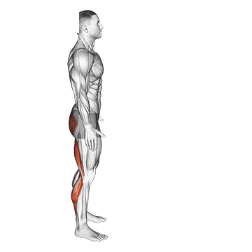 Standing-Hamstring-Stretch – فیتِ فیت