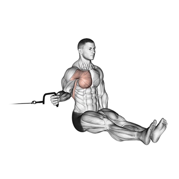 Cable Seated Shoulder Internal Rotation – فیتِ فیت