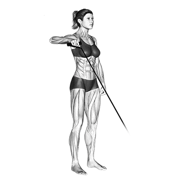 shoulder – برگه 2 – فیتِ فیت