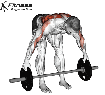 Wide Grip Barbell Bent Over Row Plus – فیتِ فیت