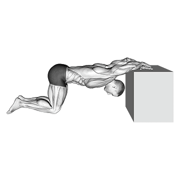 Kneeling Chest Stretch – فیتِ فیت